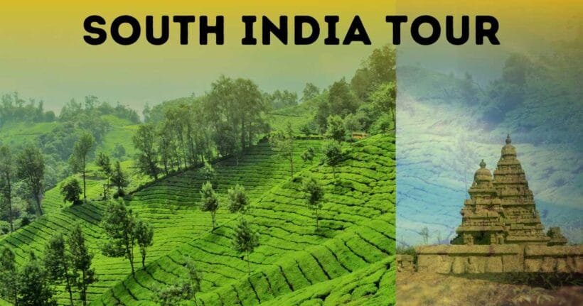 Top Destinations for South India Tour Packages - Experience My India